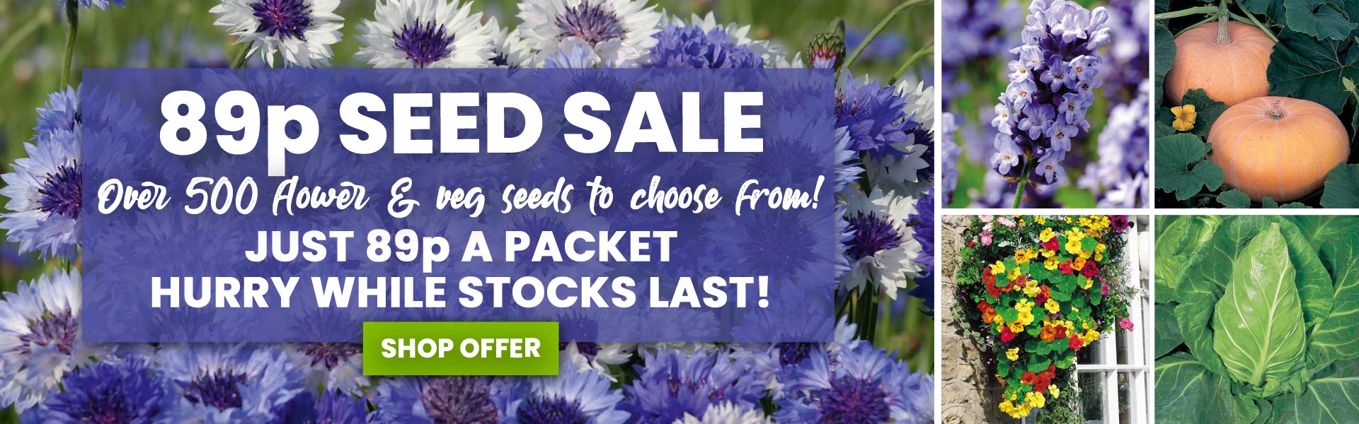 Suttons: Vegetable Seeds, Flowers & Bedding Plants Online | Suttons