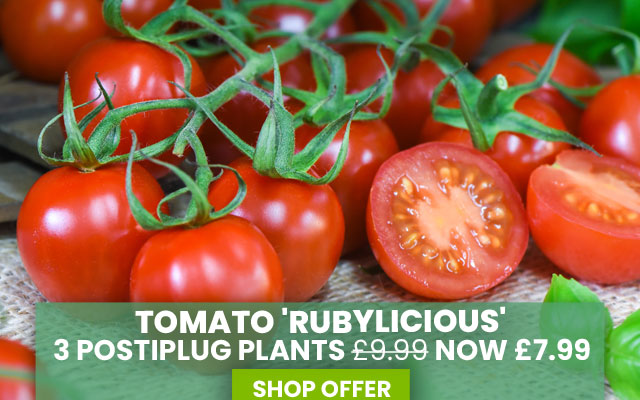 Suttons Seeds and Plants - Selling Quality Seeds Since 1806