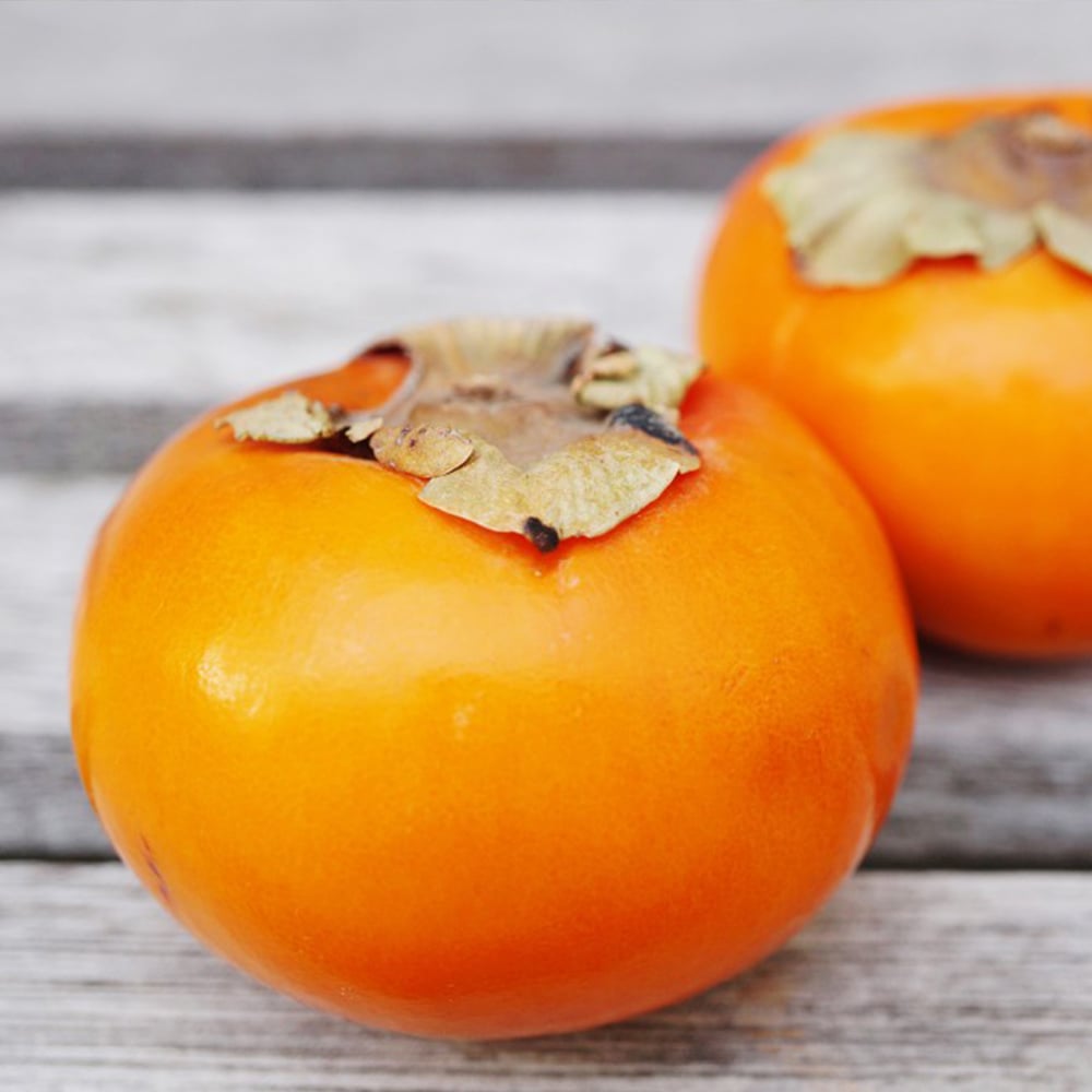 Sharon Fruit (Diospyros) Kaki Fuyu | Suttons
