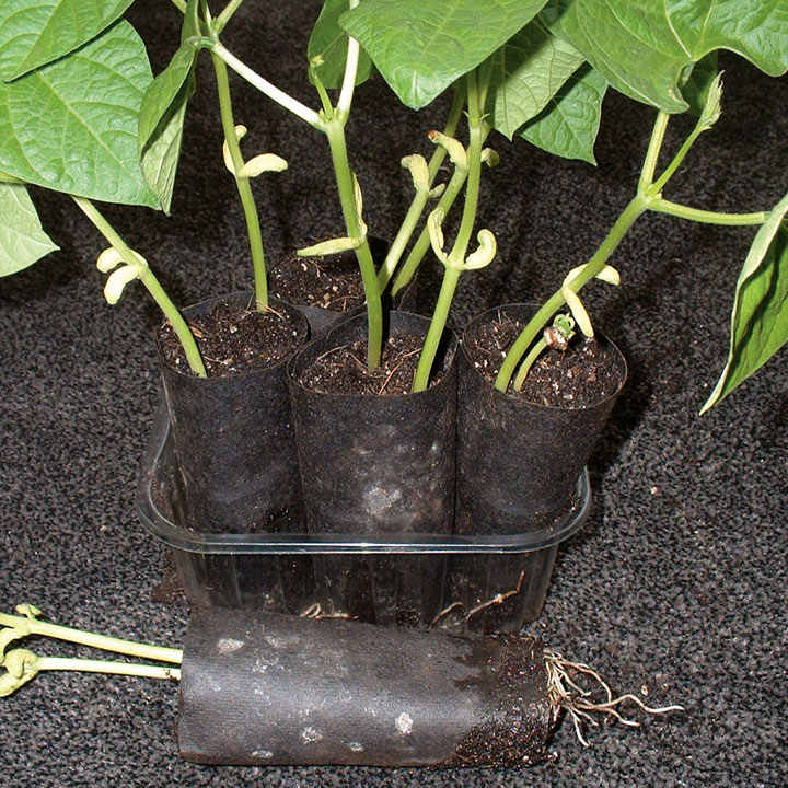 Grow Pots / Tubes | Suttons