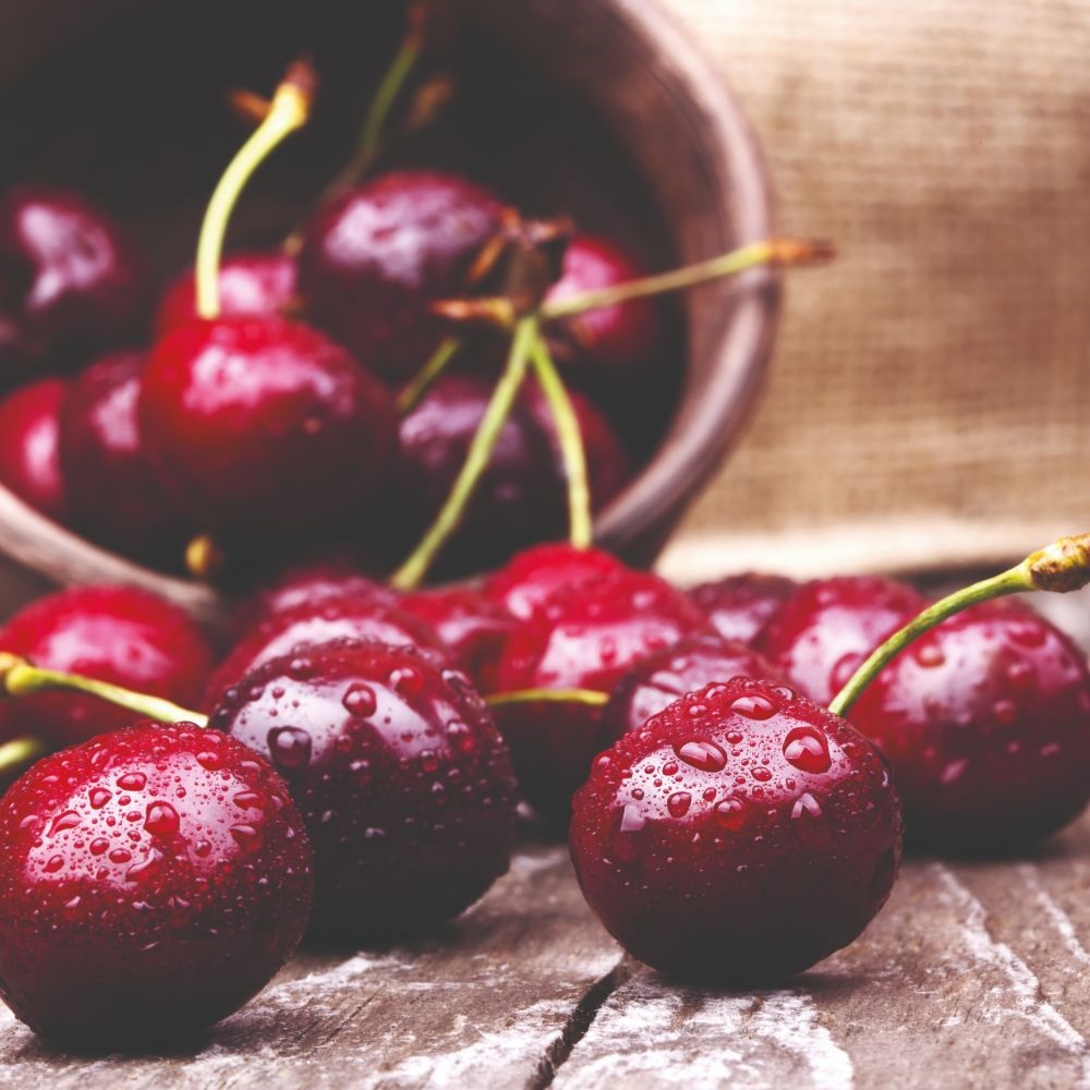 Cherry Sunburst | Suttons