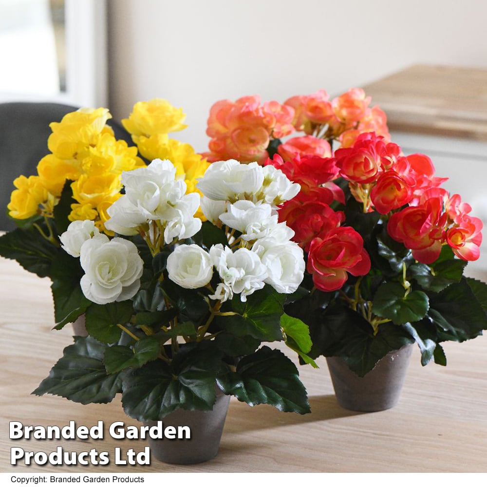 Artificial Begonia in Grey Pot Colour Collection | Suttons