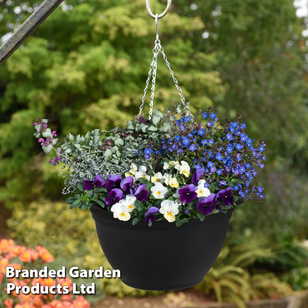 Blue Tones Preplanted Hanging Basket | Suttons