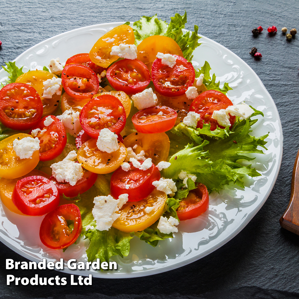 Tomato 'Dora Orange' | Suttons