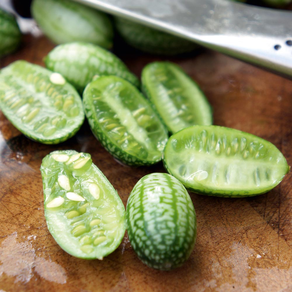 Cucamelon Plants | Suttons