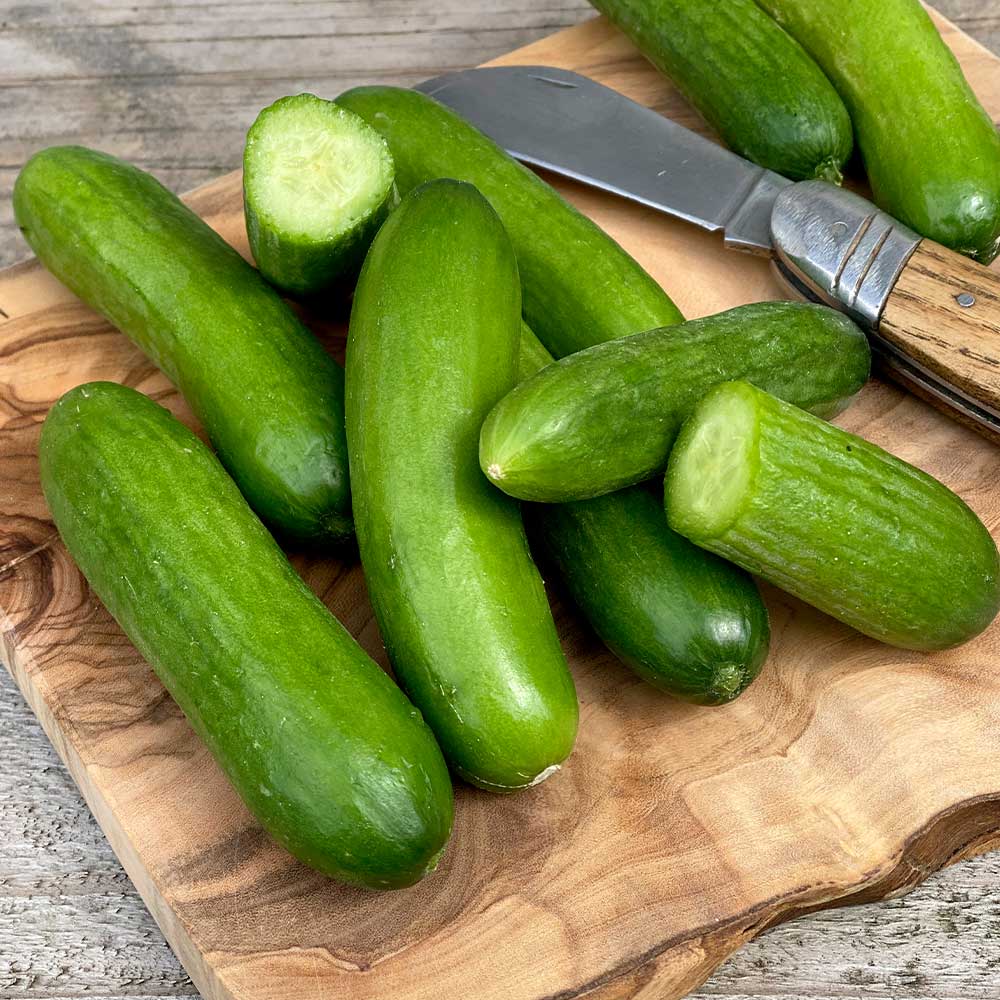 Cucumber 'Green Fingers' F1 Hybrid | Suttons