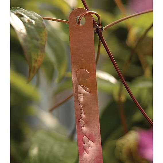 Copper Tags | Suttons