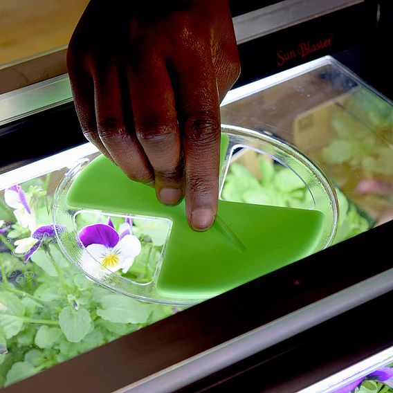 Geopod Heated Propagators - Gardening Equipment | Suttons